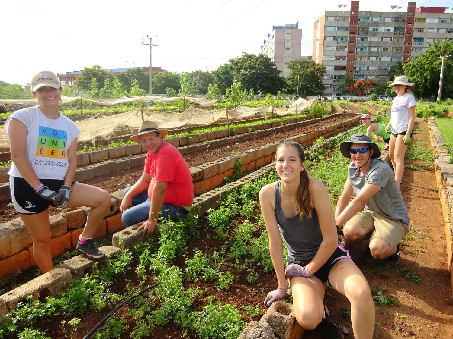 Cuban Community Partner Upholds Inclusion, Integrity, and Integrality ...