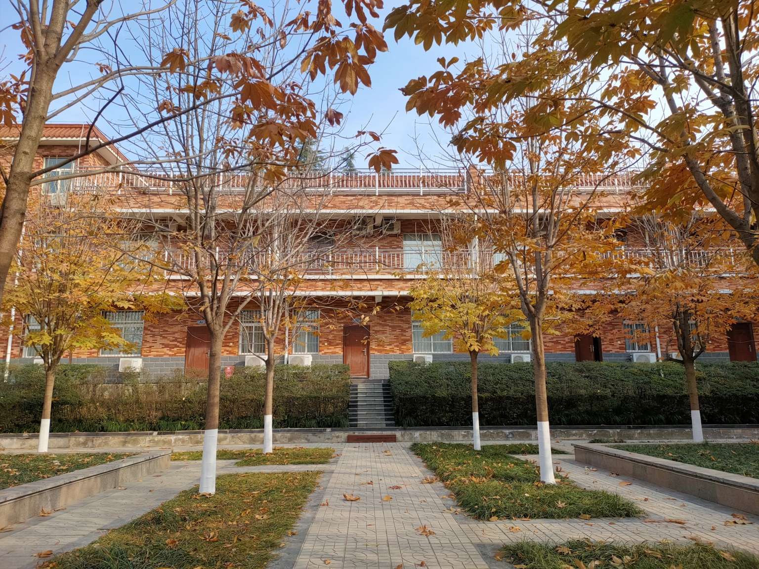 Teach English in China: Work with Students and Teachers